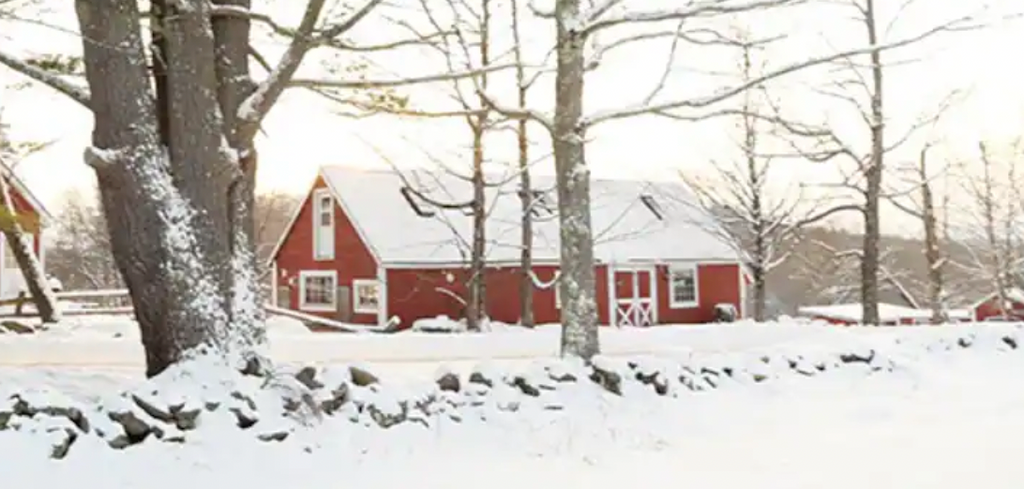 The Colt Barn – Big Picture Farm