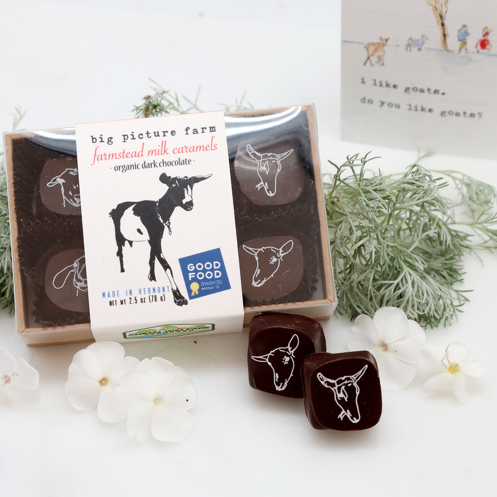 Chocolate Covered Goat Milk Caramels – Big Picture Farm