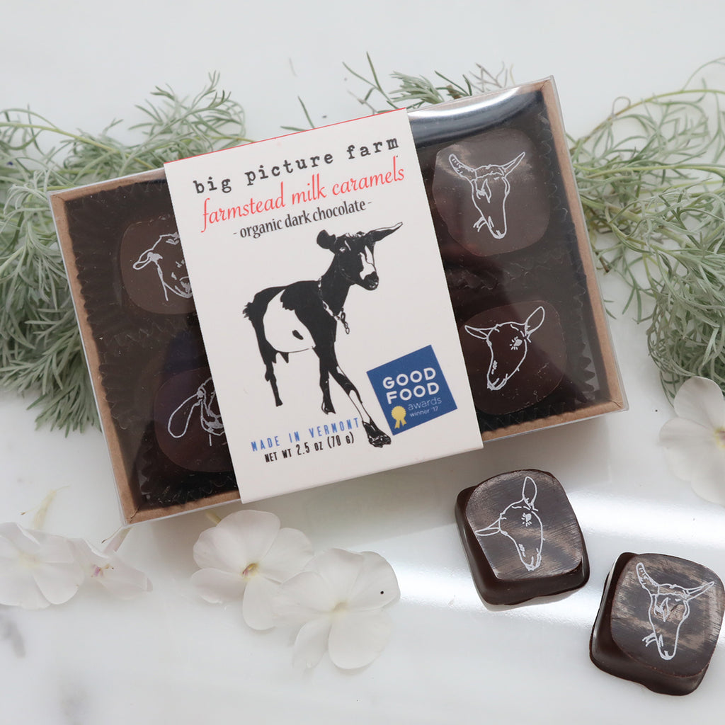 Chocolate Covered Goat Milk Caramels – Big Picture Farm