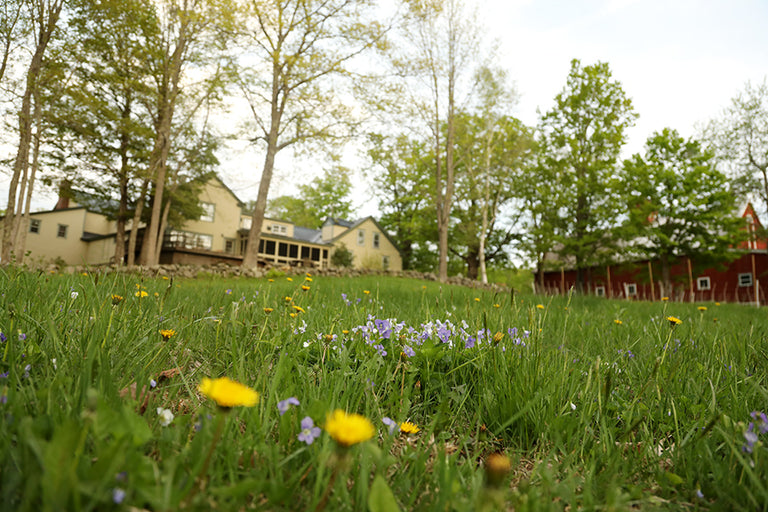 The Farmhouse – Big Picture Farm