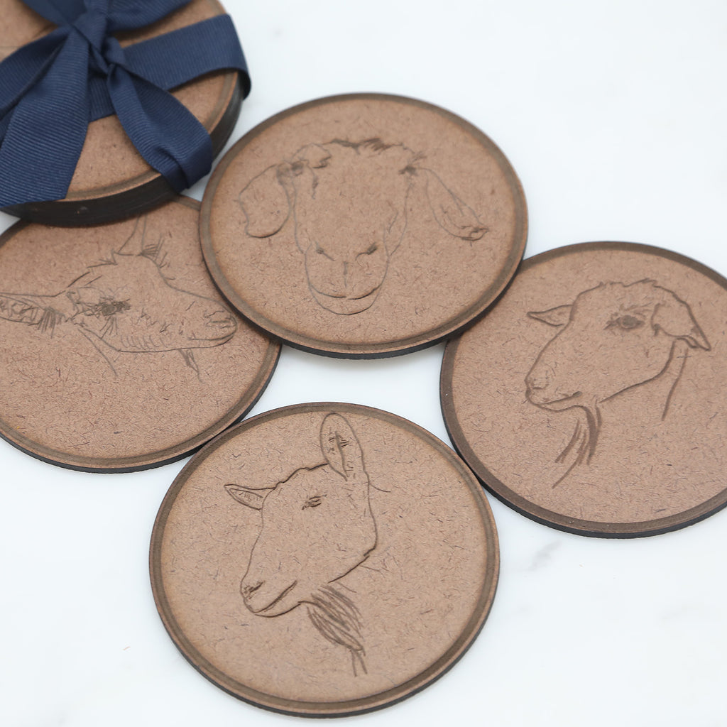 Big Picture Farm Coasters