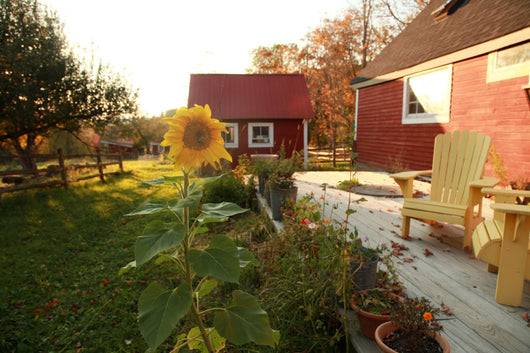 The Colt Barn – Big Picture Farm