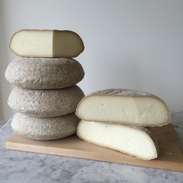 Farm Goat Cheese
