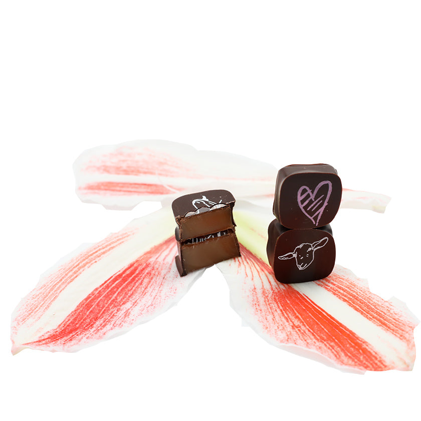 Chocolates and Confections – Big Picture Farm