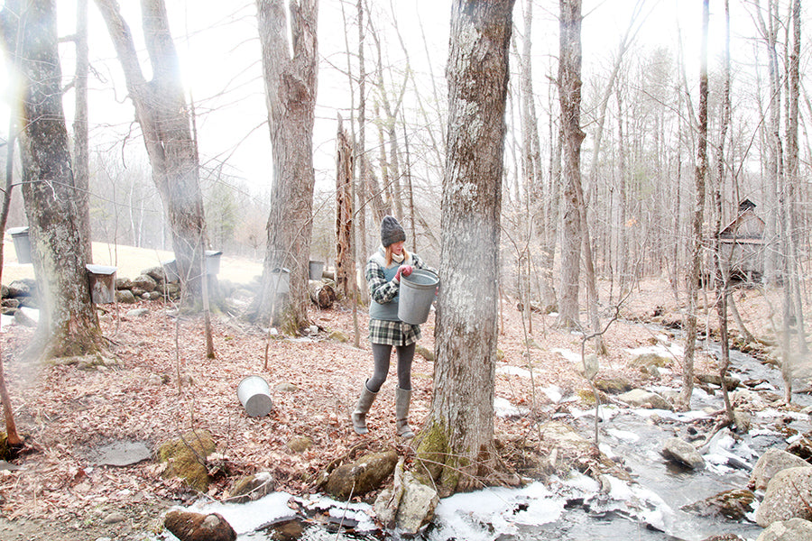 Vermont Maple Syrup – Big Picture Farm
