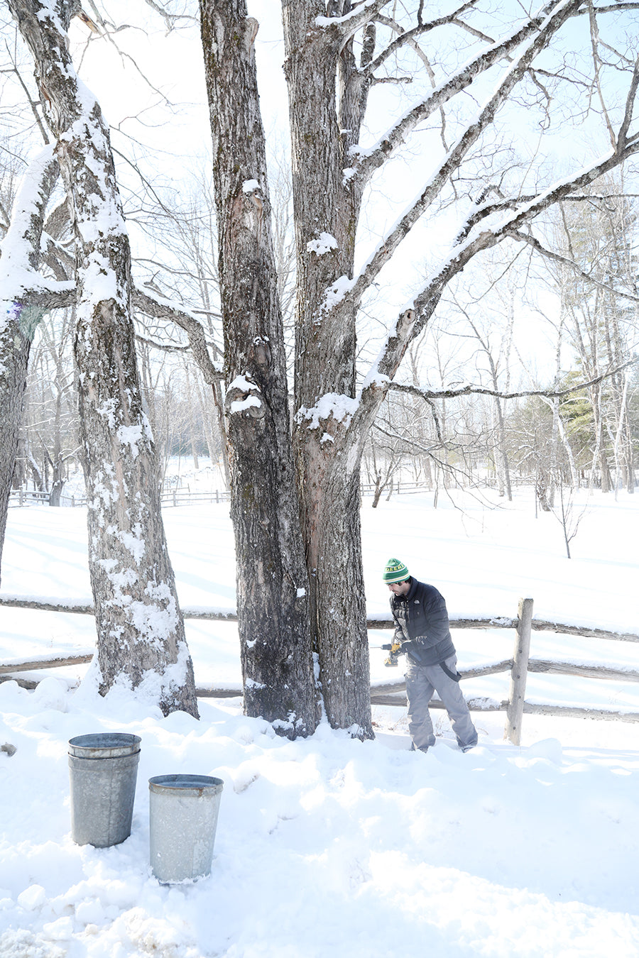 Vermont Maple Syrup – Big Picture Farm