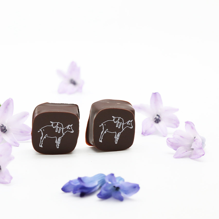 2 Piece CHOCOLATE Candy Gram – Big Picture Farm