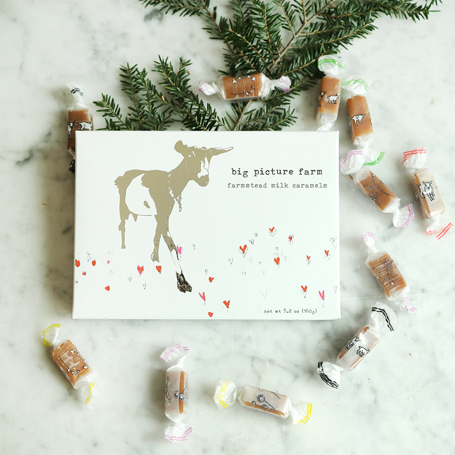 Silver Goat in a Sea of Hearts Gift Box – Big Picture Farm