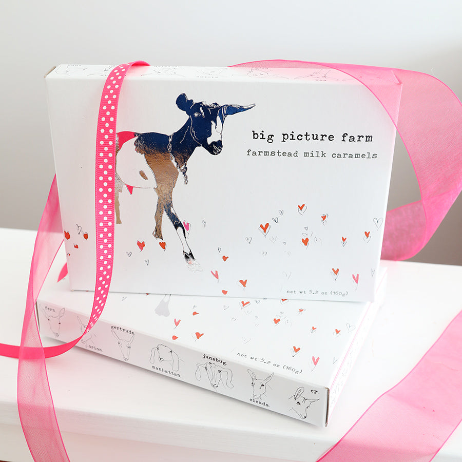 Silver Goat in a Sea of Hearts Gift Box – Big Picture Farm